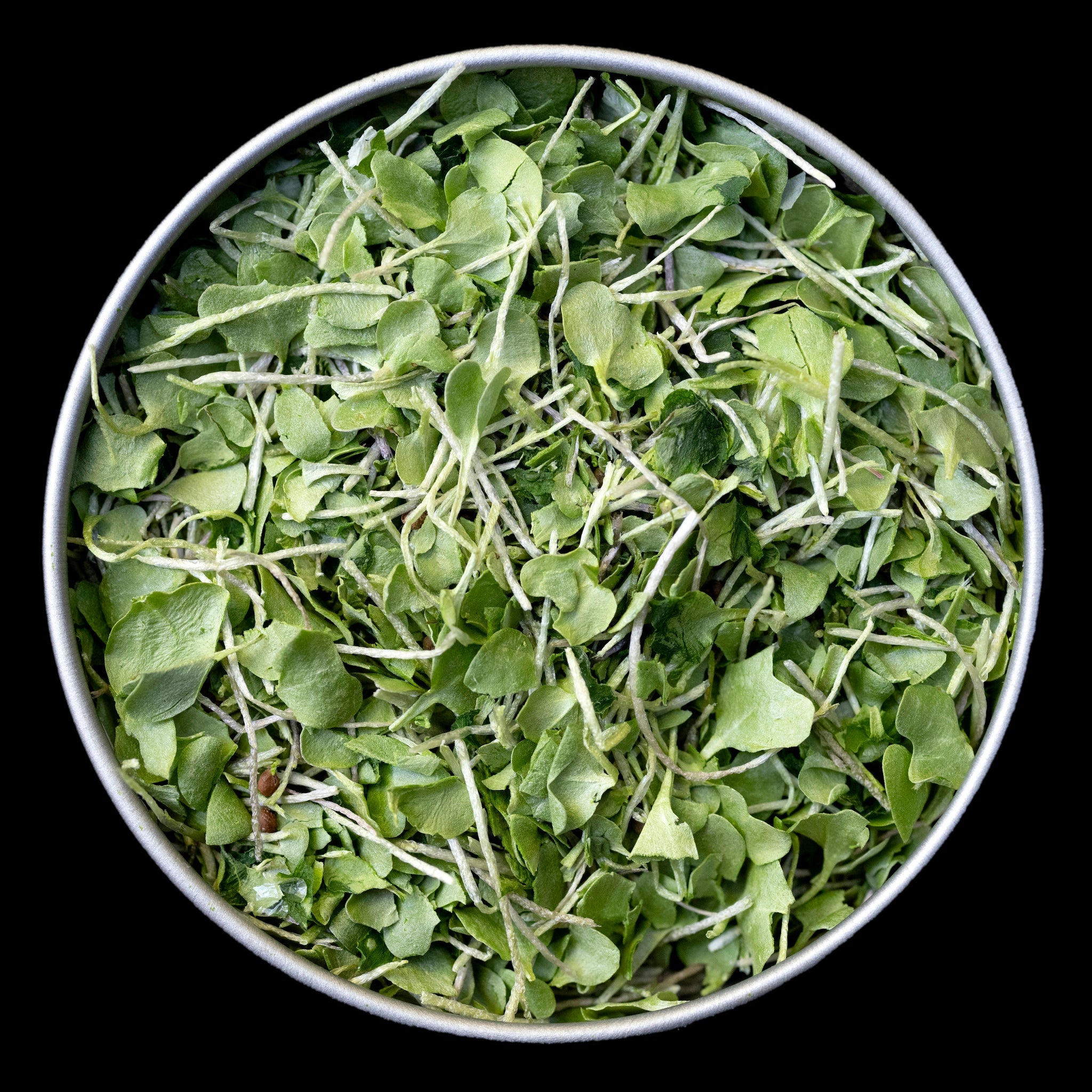 Broccoli Booster – BeMicro